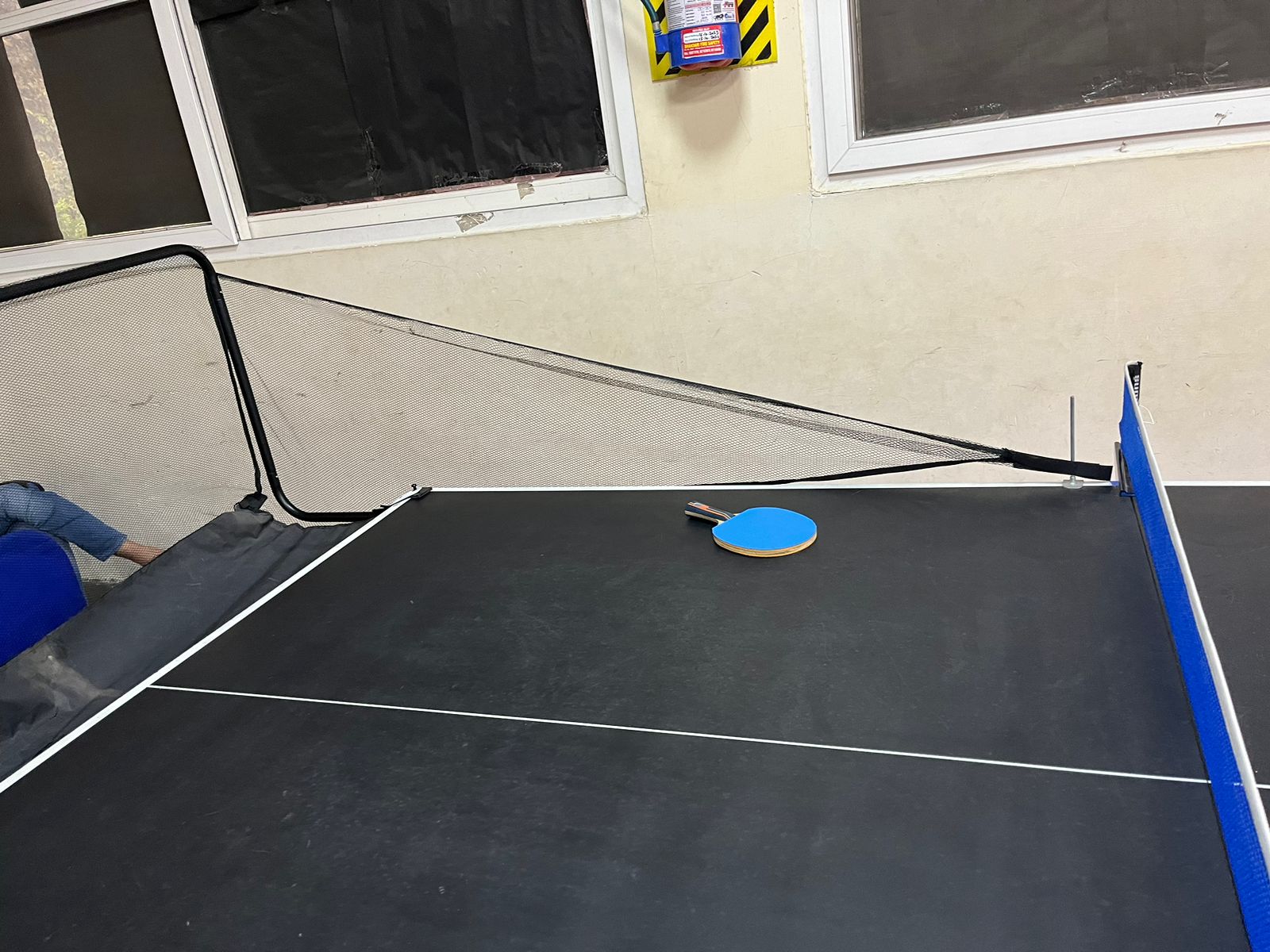 Grace Table Tennis Multi-ball Catcher Net – World of Table Tennis Store